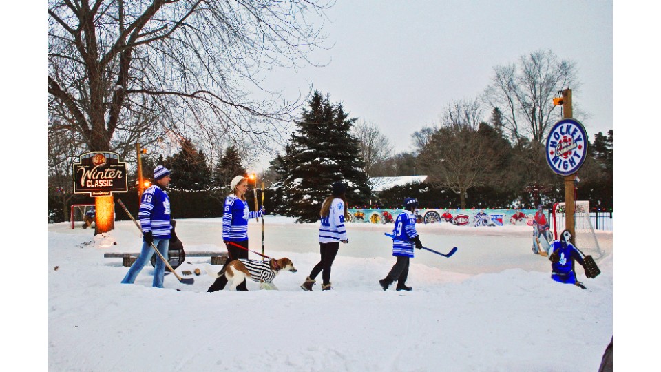 Backyard Ice Hockey Rink Gallery | Pictures of Backyard Ice Rinks